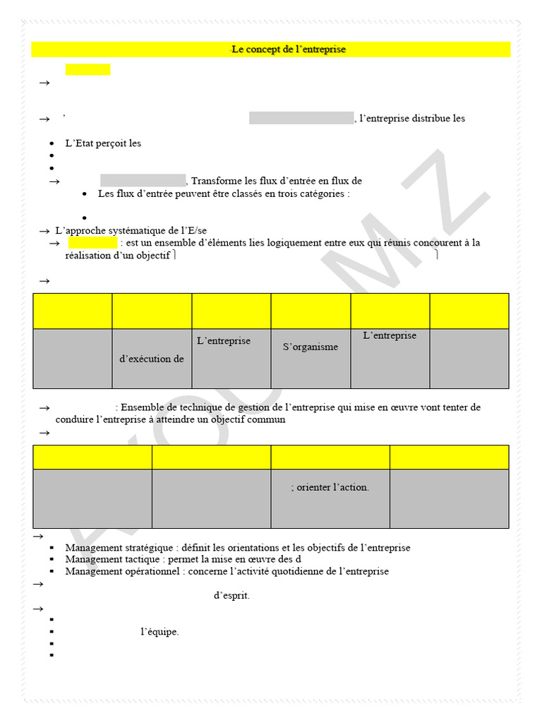 Ayoub M.Z Management | PDF | Career & Growth | Business