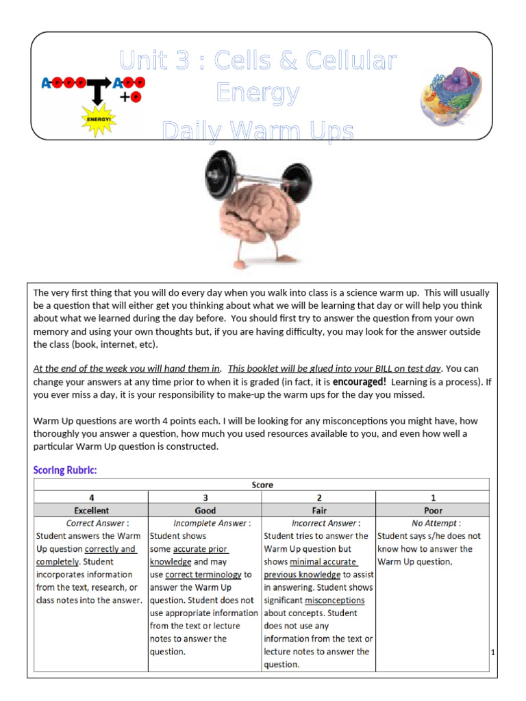 2019 A Cells Only Warm Ups MCC | PDF