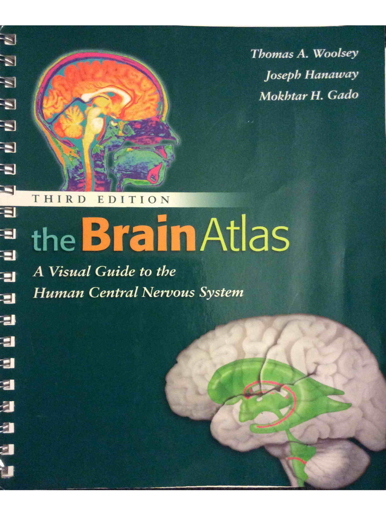 Brain Atlas | PDF