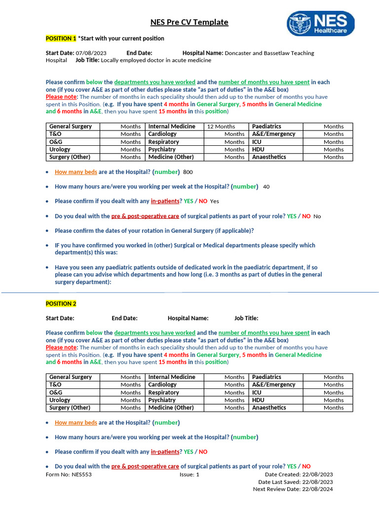 NES553 Pre CV Template | PDF