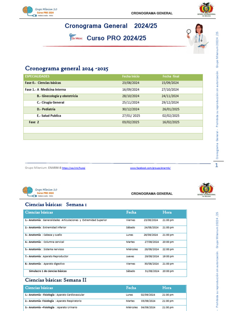 Cronograma general del curso pro -2025 cro(2) | PDF