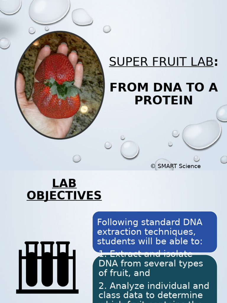 DNA Extraction from Fruits Lab Guide | PDF | Dna | Self-Improvement