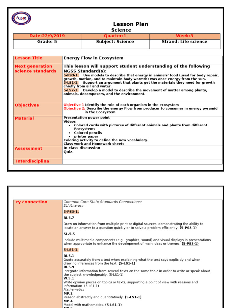 Energy flow lesson plan | PDF