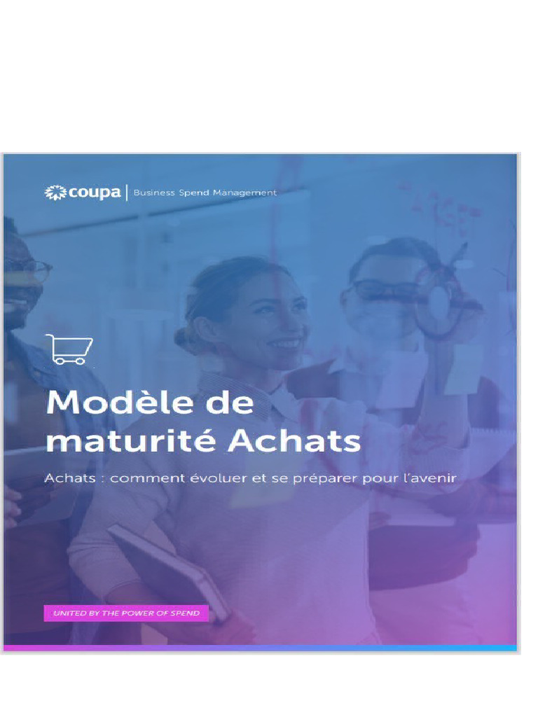 Piloter Stratégie Achat | PDF