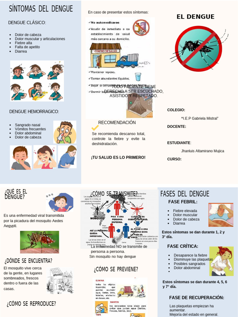 TRIPTICO-SOBRE-EL-DENGUE-1 | PDF TRIPTICO-SOBRE-EL-DENGUE-1 | PDF