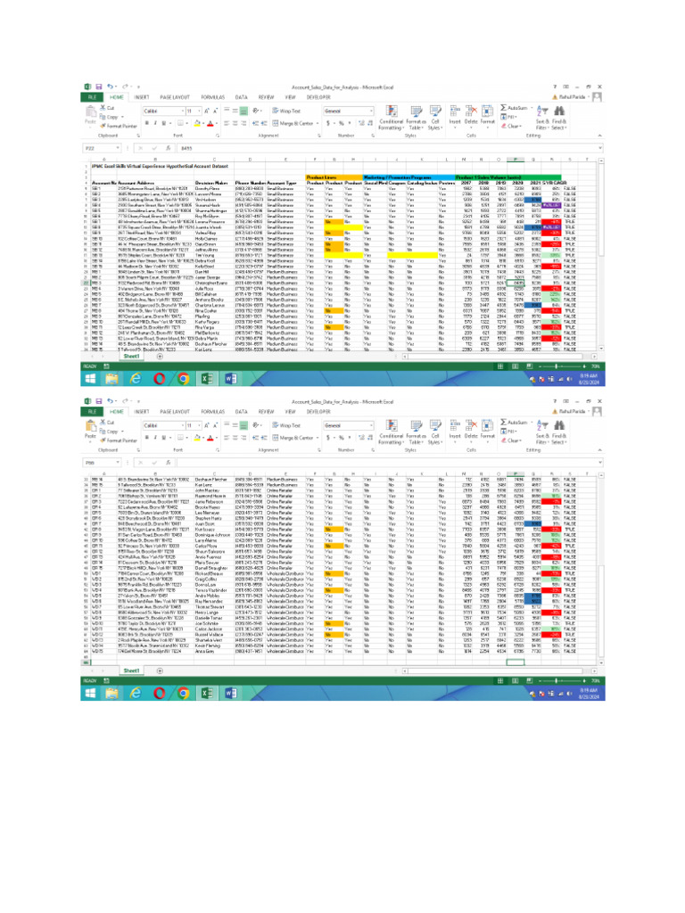 EXCEL_SIMULATION_ | PDF