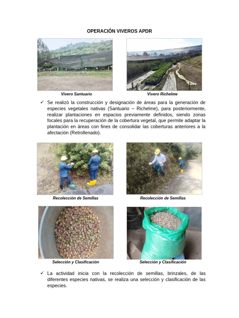 Operación Viveros Apdr | PDF