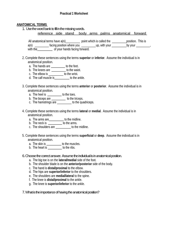 201 Practical 1 Worksheet | PDF