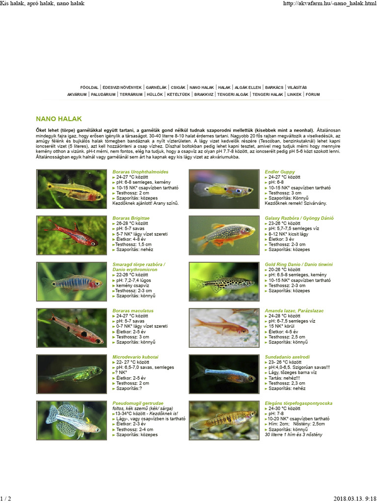 Kis Halak, Apró Halak, Nano Halak | PDF