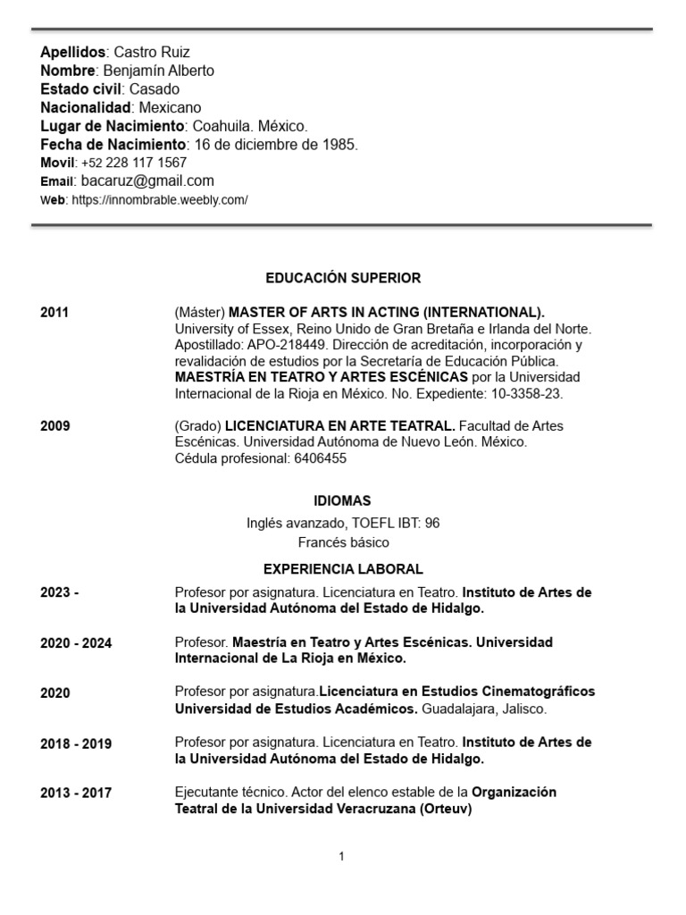CV Benjamin Castro 2024 | PDF