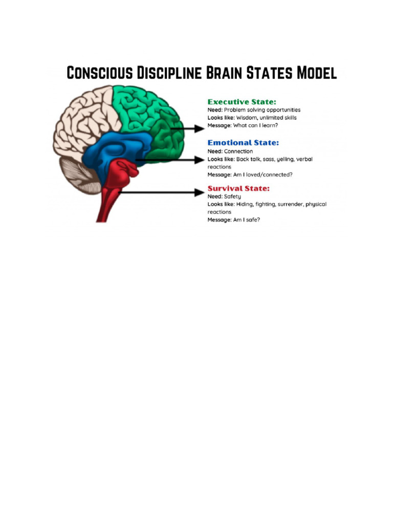 brain state model | PDF