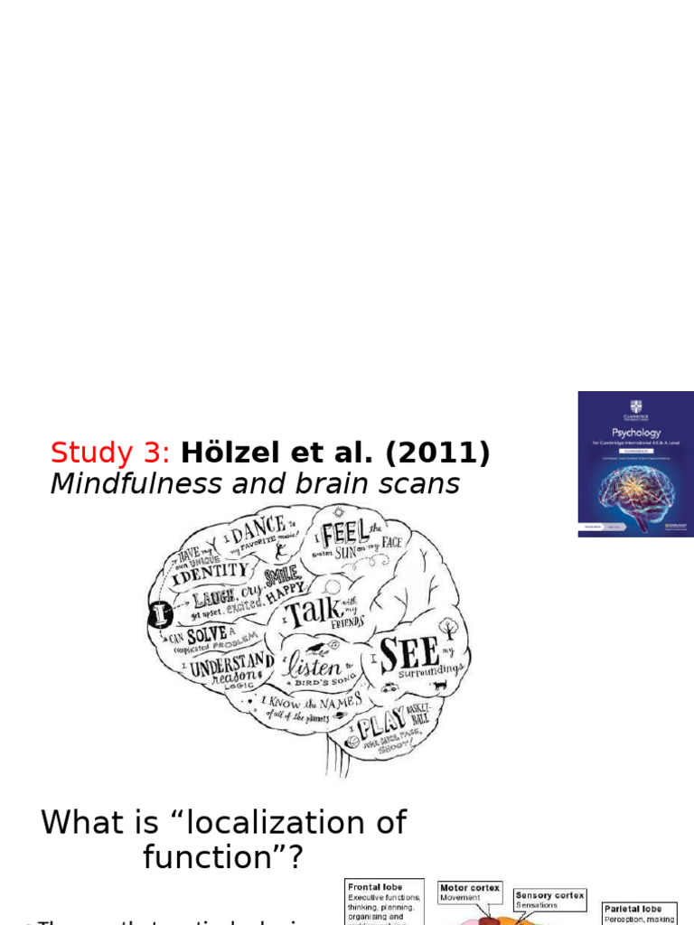 Holzel Et Al. | PDF