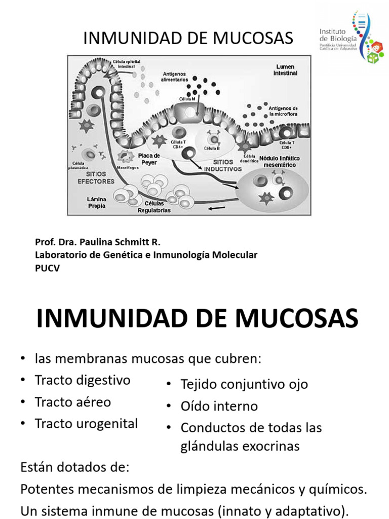 Clase inmunidad de mucosas 2024 | PDF