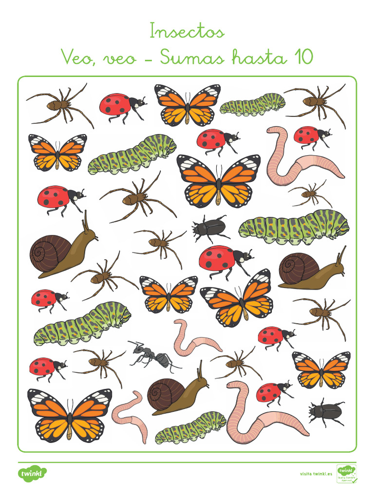 Veo Veo Insects | PDF