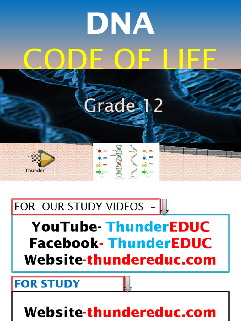 Dna Code of Life | PDF