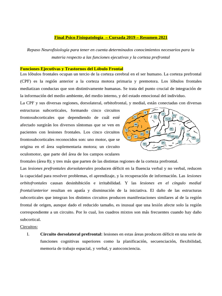 Final Psicofisio Cursada 2019 | PDF
