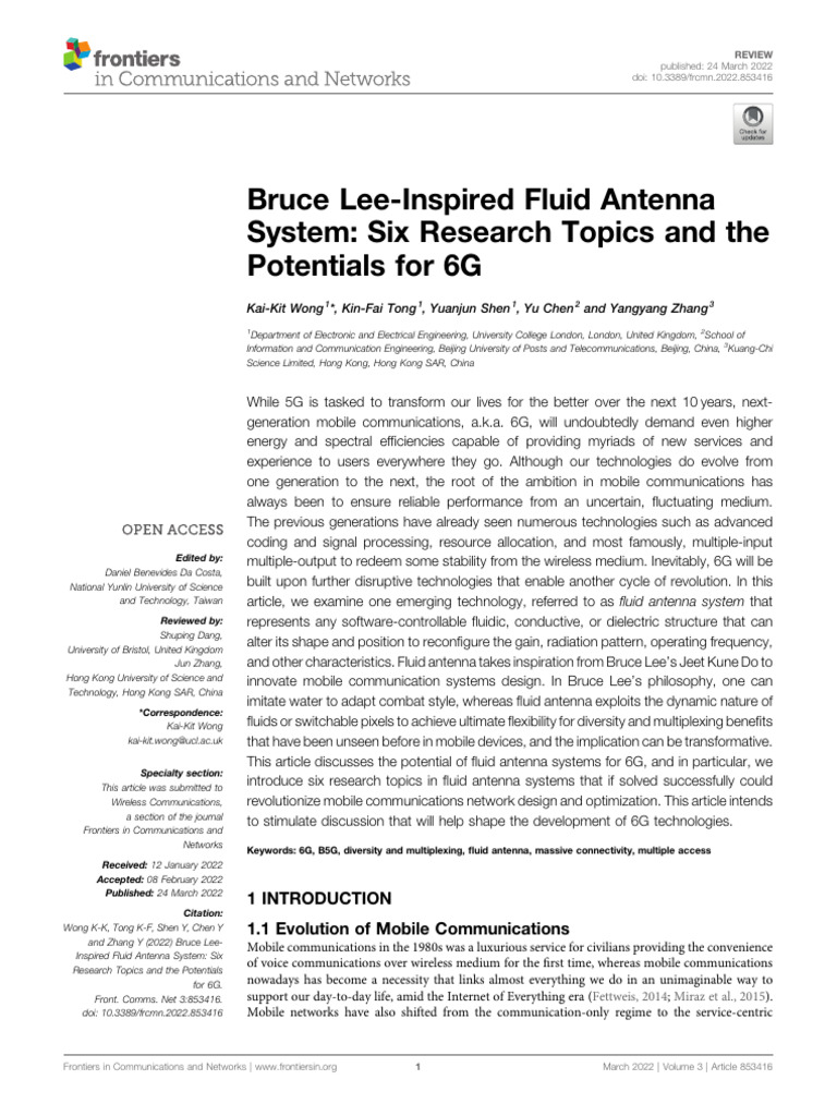 Bruce Lee-Inspired Fluid Antenna System Six Research Topics and the ...