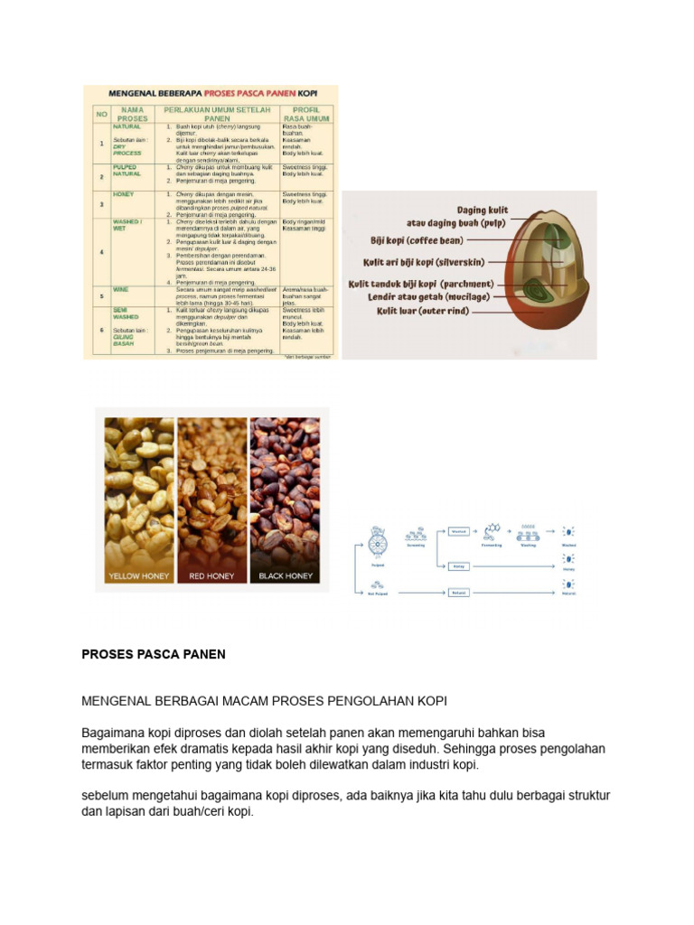 Proses Pasca Panen | PDF