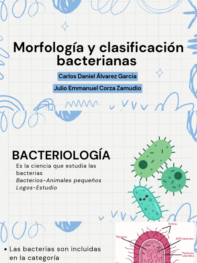 Bacterias | PDF
