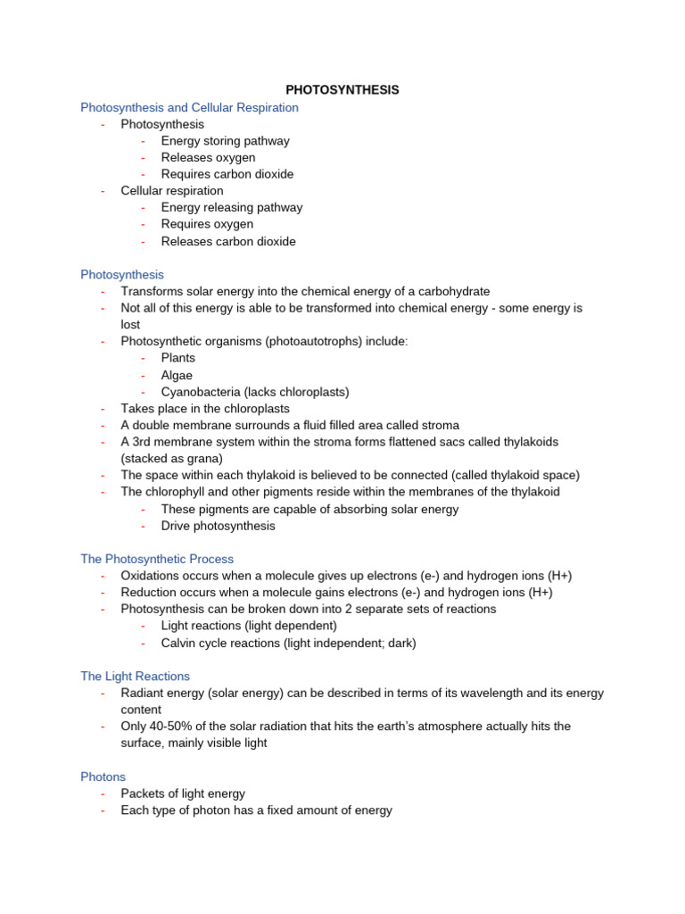Bio Photosynthesis Notes | PDF | Photosynthesis | Science & Mathematics