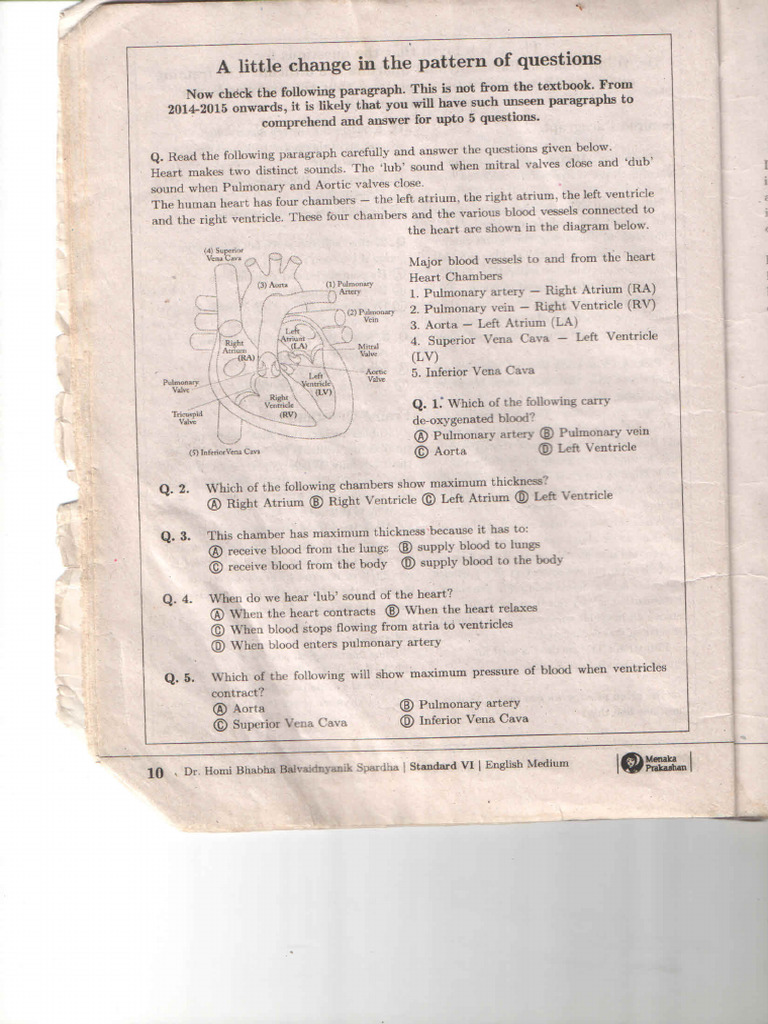 Babha - IV Exam1 | PDF