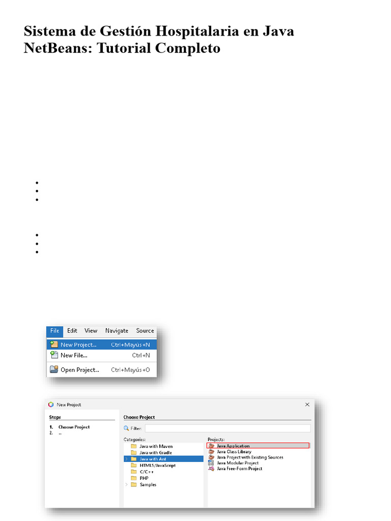 Sistema de Gestión Hospitalaria en Java | PDF | Net Beans | Applications & Software