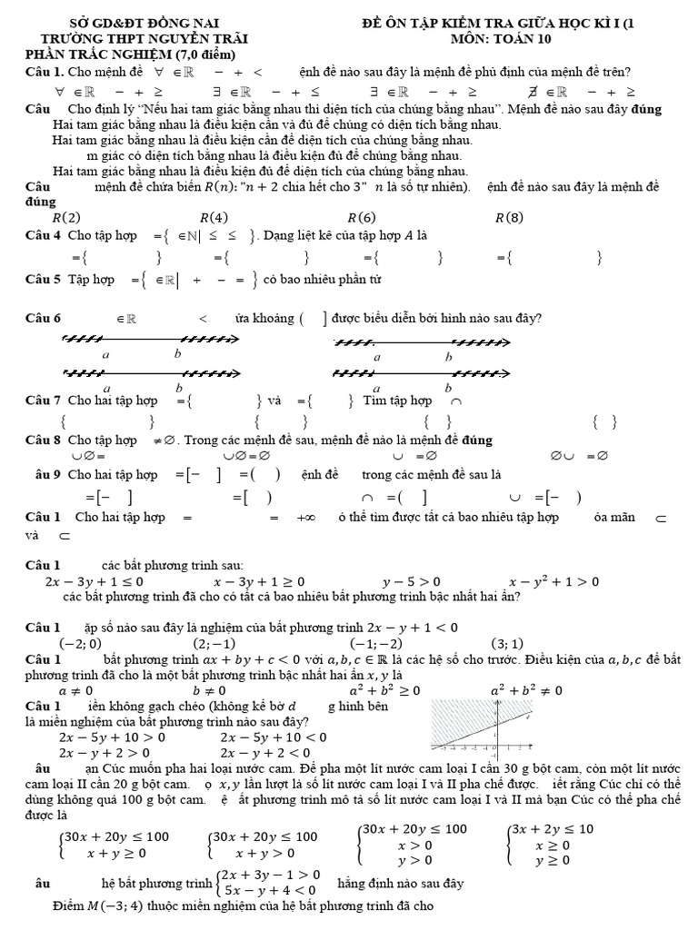 Đề Kt Ghk1 Lớp 10 Thpt Nguyễn Trãi | PDF