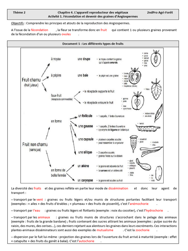2A - Thème 2 - Chapitre 4 - Act 1 Version Complète | PDF