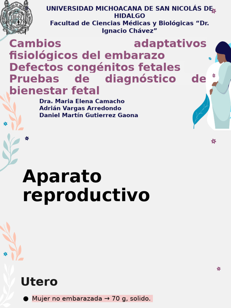 Primera Presentacion de Obste | PDF