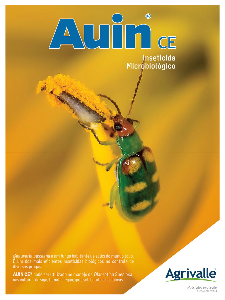 Folheto Auin Ce3 | PDF