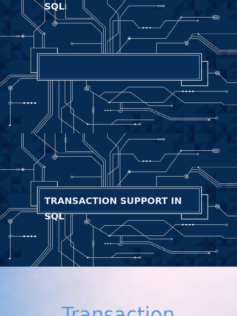 Transaction Support | PDF