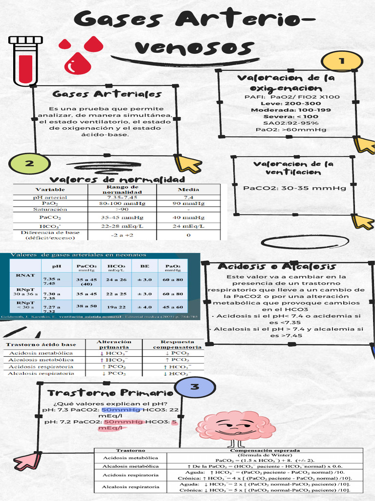Gases Arterio Venosos | PDF
