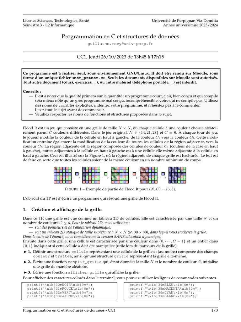 L2 CC1 FloodIt | PDF