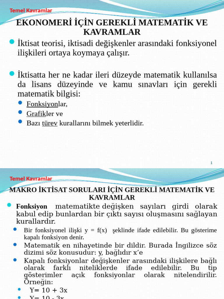 1.a. Ekonometri Için Fonksiyon Türev Ve Model | PDF