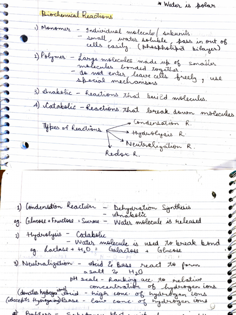 Unit 1 Biochemistry | PDF
