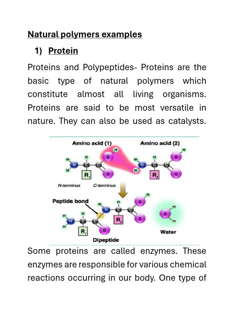 Examples of Natural and Semi Synthetic Polymers | PDF