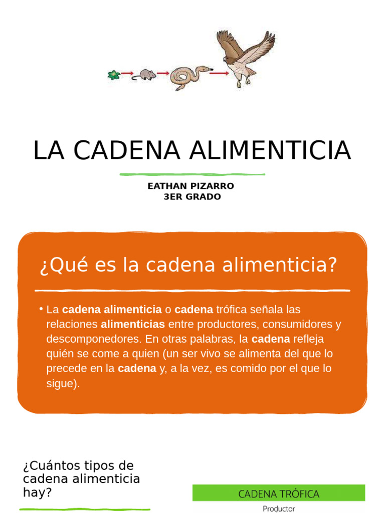 La Cadena Alimenticia | PDF