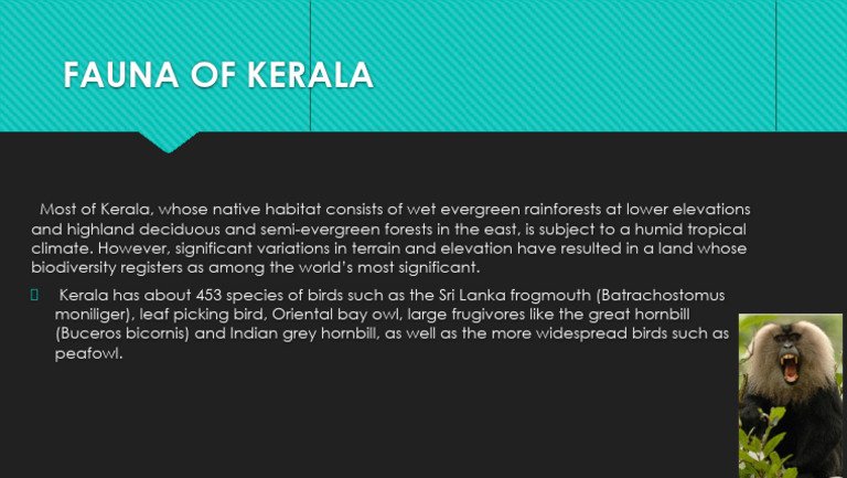 Fauna of Kerala | PDF