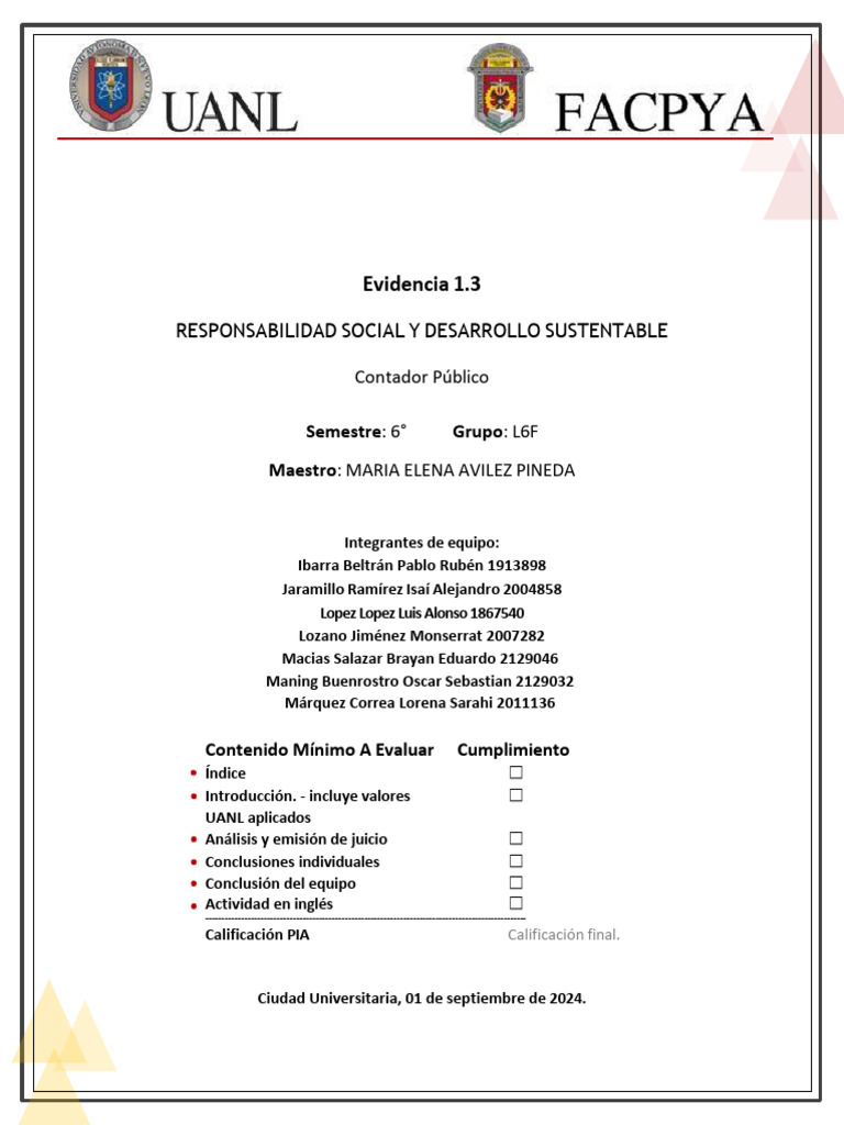 Respsocialyds Equipo 5 Ev1.3 | PDF