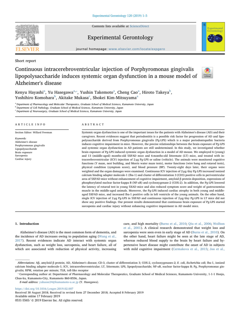 Continuous intracerebroventricular injection of Porphyromonas ...