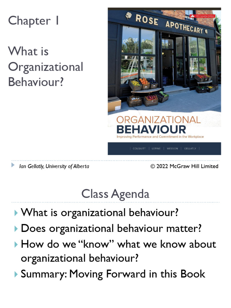 Colquitt5ce PPT Ch01 | PDF