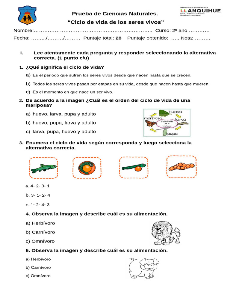 Prueba Ciencias Como Nacen y Se Reproducen Los Animales | PDF