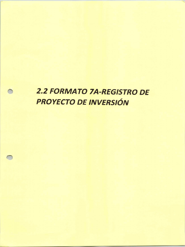 FORMATO 07-A | PDF