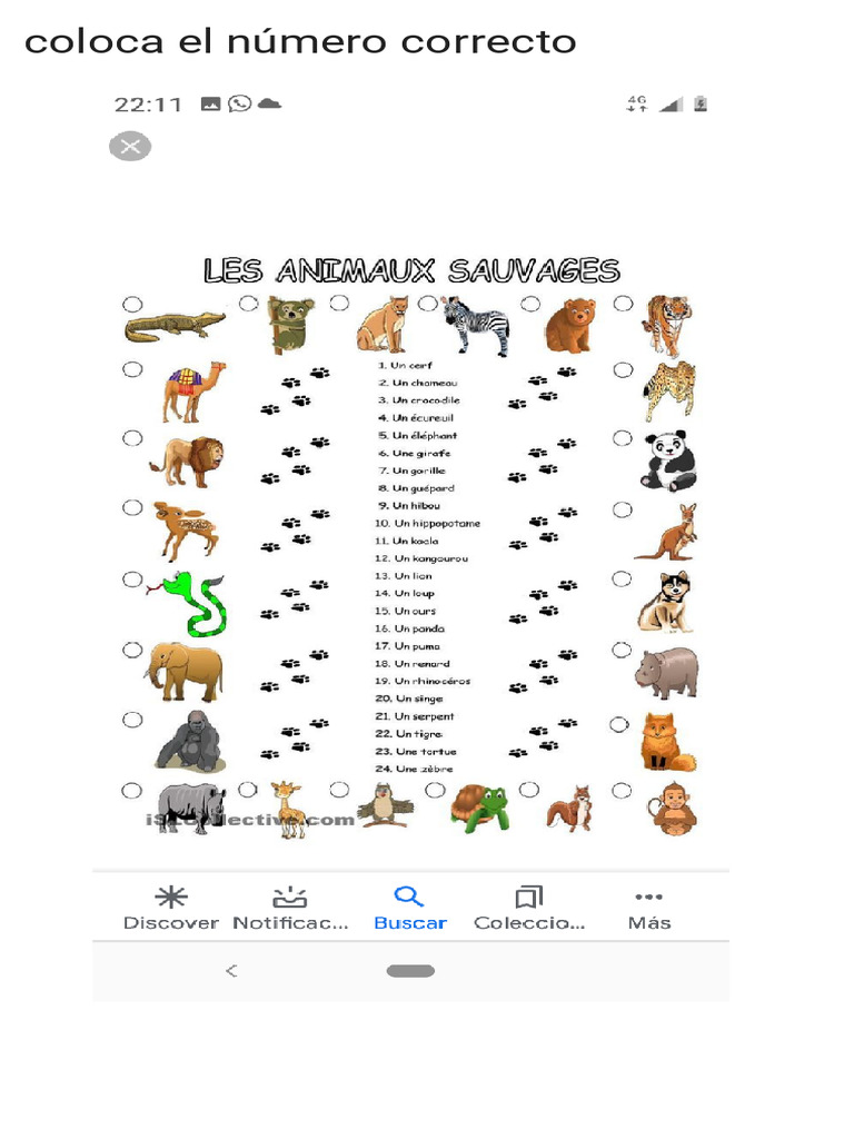 los animales ejercicios en frances | PDF