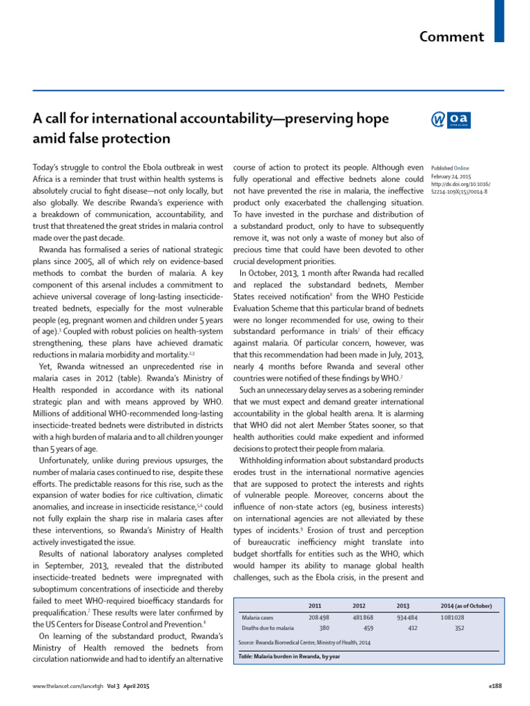 A Call For International Accountability— Pre | PDF