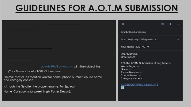 AOTM Submission Guidelines | PDF