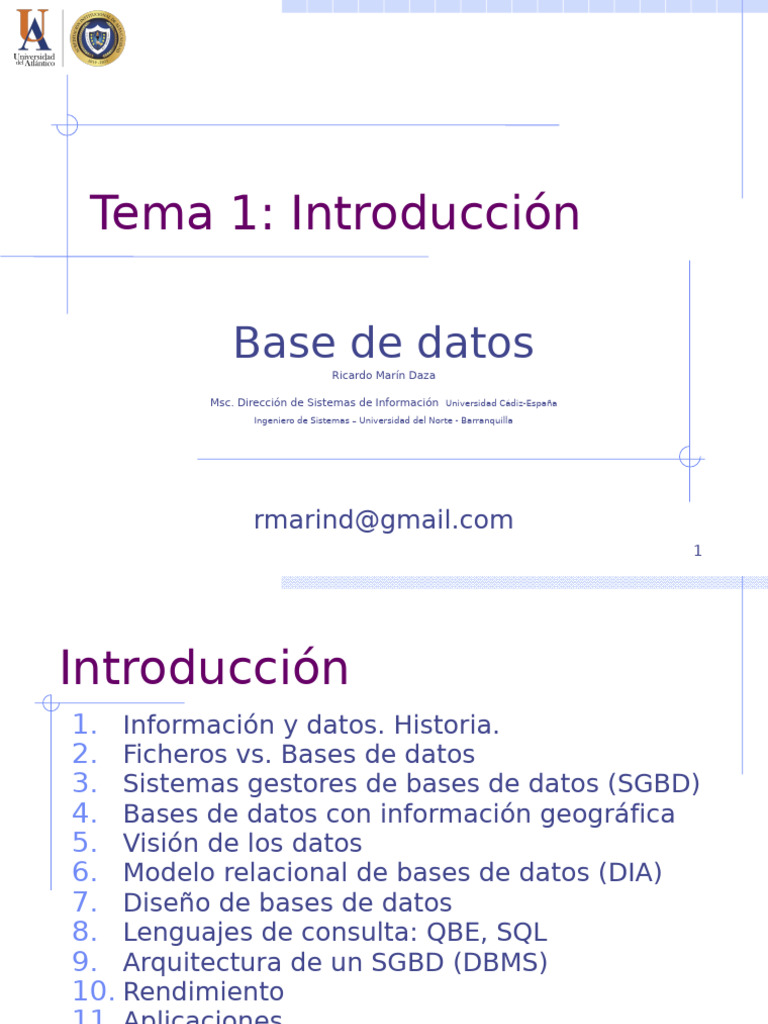 BAse de DatosTema 1 Introducción (1) | PDF