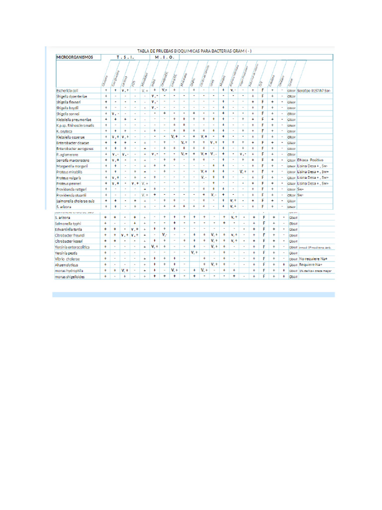 bacter tabla deidentificacion | PDF