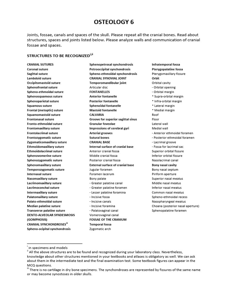 Osteology 6 | PDF