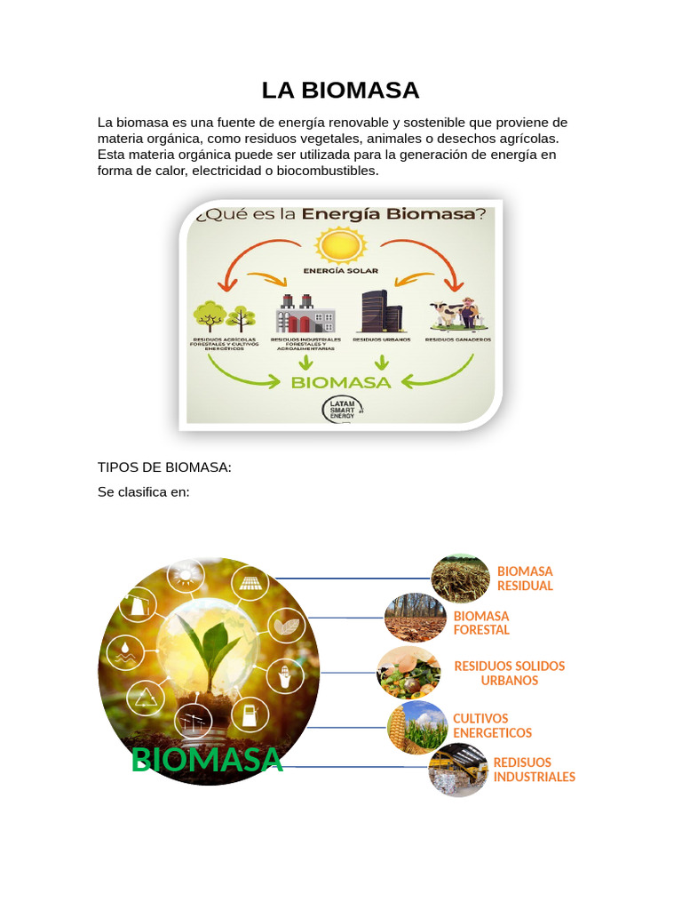 La Biomasa y Sus Tipos | PDF